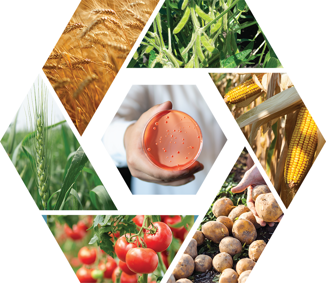 Inoculant and ag-biological products for sustainable agriculture.