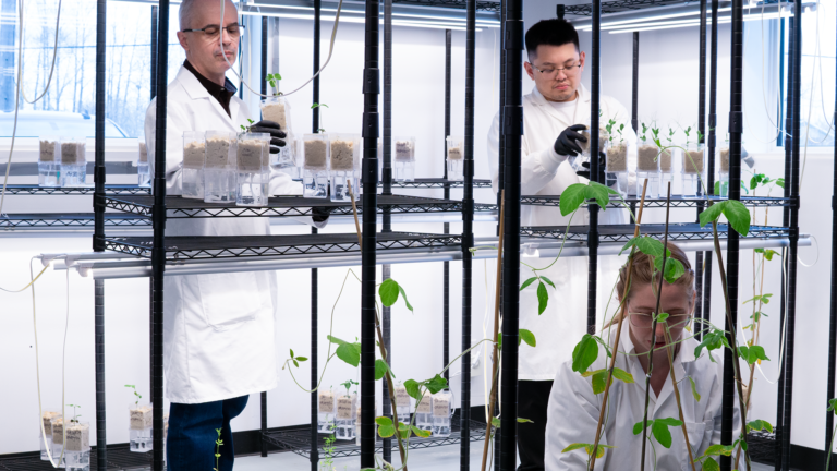 Meet Our Revamped IRD Team