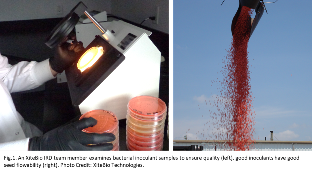 Producing microbial products for sustainable agriculture in Manitoba ...